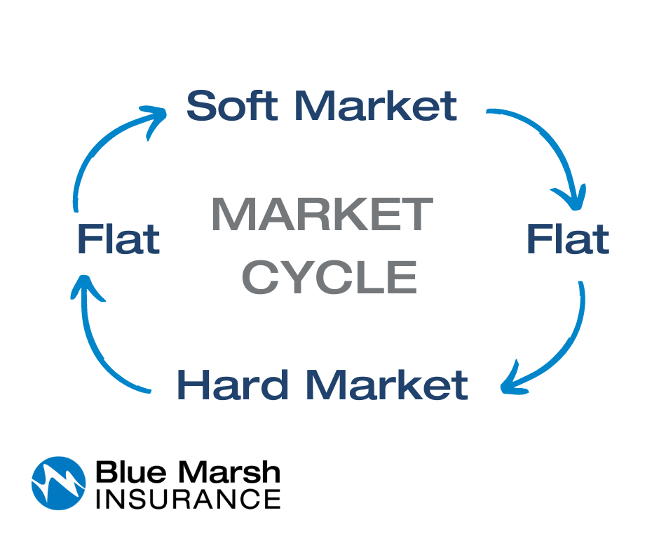 Why the cost of insurance has gone up (and what you can do about it)