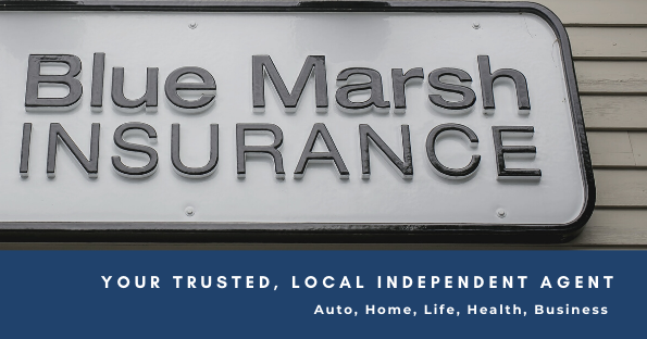 2020 Blue Marsh Year in Review