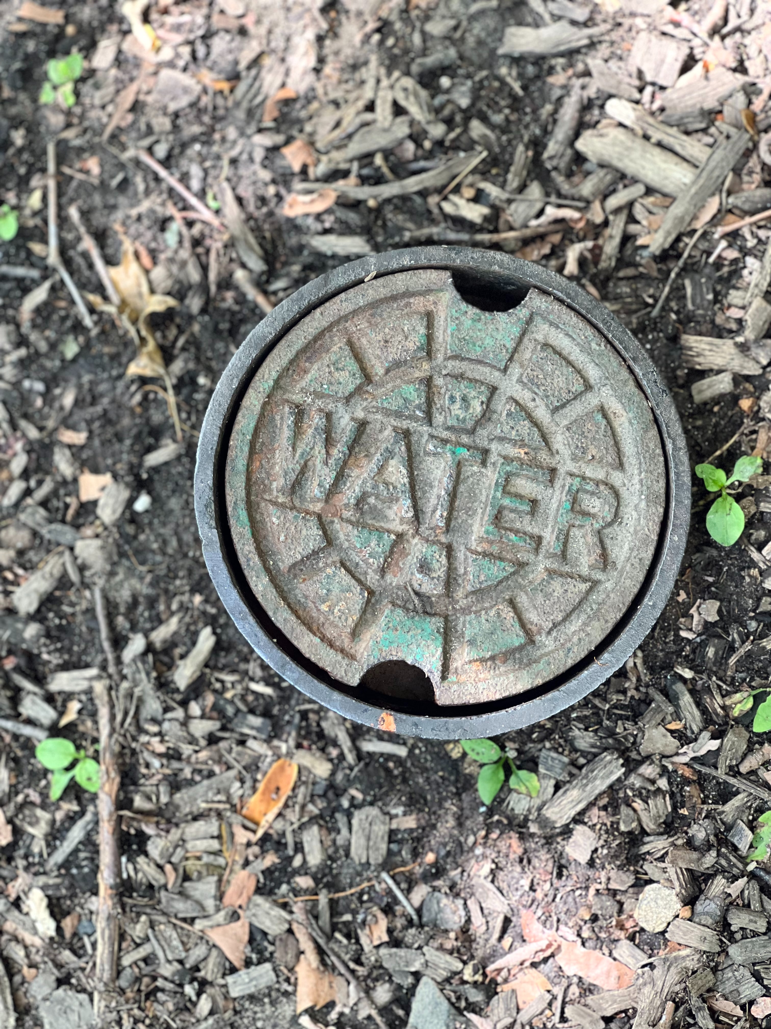 Sewer and Drain Back Up Coverage (and why you probably need it!)